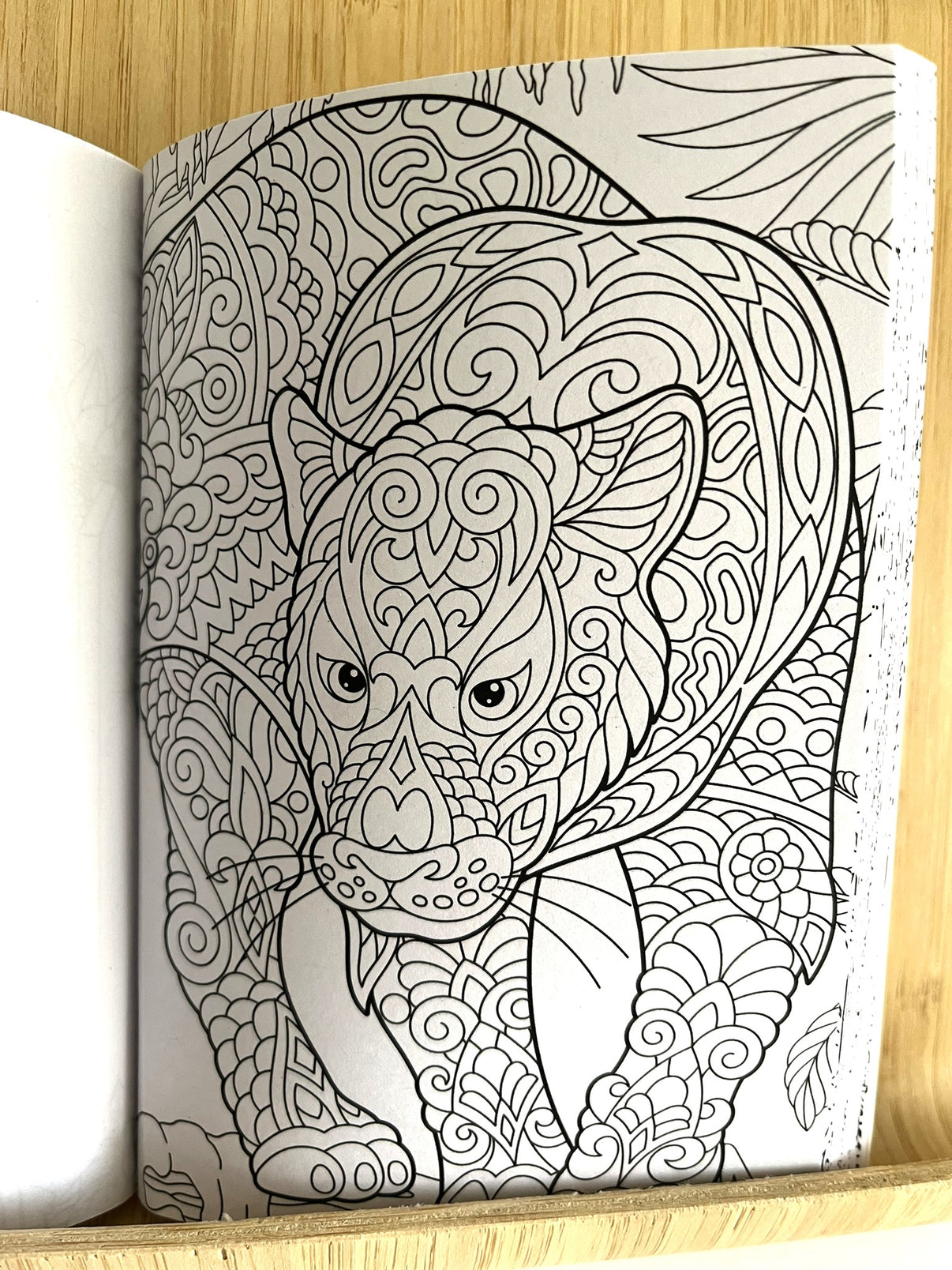 Mini Colouring Pack for Older Kids – The Wild Hidden